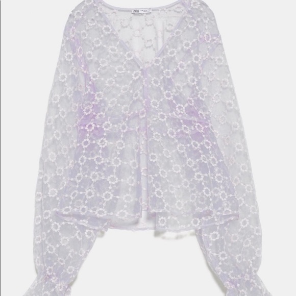 Zara | Tops | Nwt Zara Embroidered Sheer Top | Poshmark